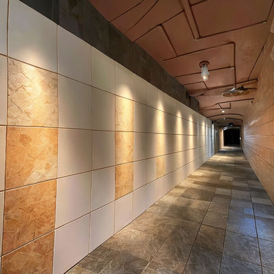 Expanded Large-Scale Vitreous Enamel Panel For Big Projects